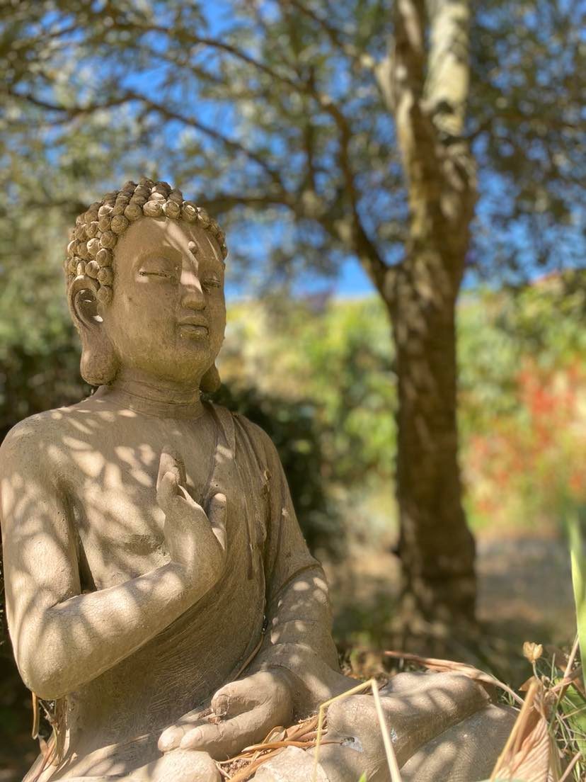 Atelier méditation voyage intérieur - Centre Wakanda Annecy